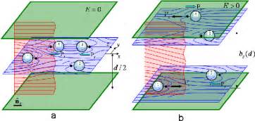 Color Online Colloidal Particles In A Planar Nematic Cell A Download Scientific Diagram