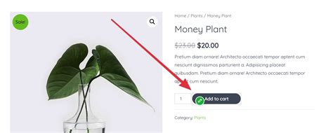 Wordpress Localization What It Is And How To Localize Your Website