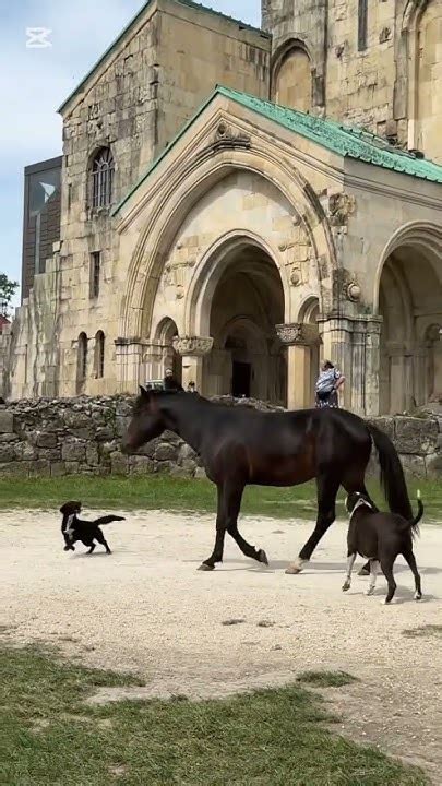 ბაგრატის ტაძარი Youtube