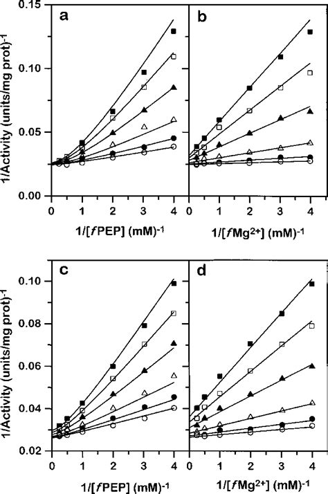 Double Reciprocal Plots Of Initial Velocity Of The Non Phosphorylated