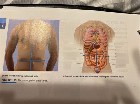 Fig Diagram Quizlet