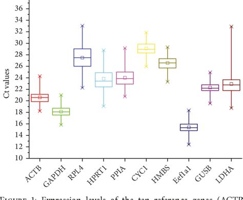 Reference Genes Normalization At Oscar Corey Blog