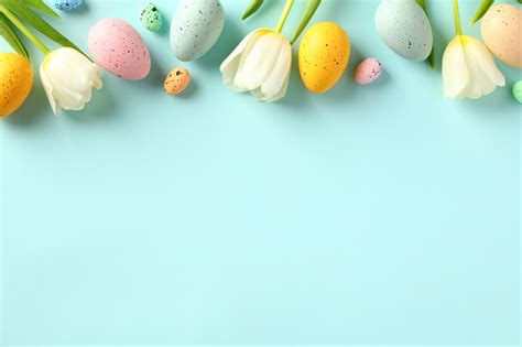 Happy Easter Concept Frame Top Border Made Of Tulips Spring Flowers And