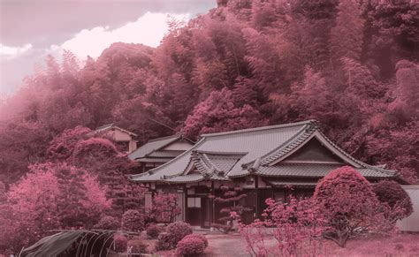 Pink Japanese Landscapes 1 Images Behance