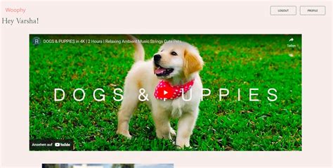 Github Varshabhadanareact Web App