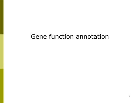 Ppt Gene Function Annotation Tools And Resources At Tair Powerpoint Presentation Id 9124270