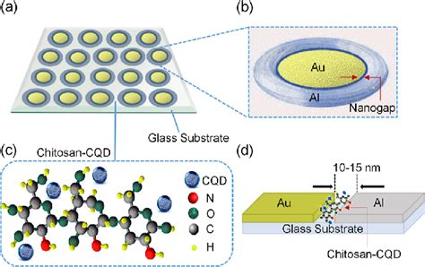 Schematic Illustration Of The A Concentric Circular Memristor Device Download Scientific