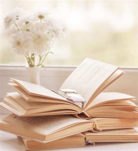 햇빛이 비치는 창틀에 책을 펼치다 프리미엄 사진