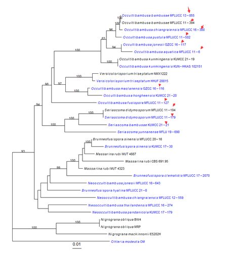 How To Retain The Leading Zeros “0” In The Tip Labels？ · Issue 470 · Yulab Smuggtree · Github