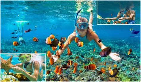 20 Best Things To Do In Half Moon Cay Bahamas In 2026