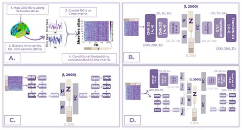 Conditional Variational Autoencoder For Functional Connectivity Analysis Of Autism Spectrum