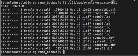 Oracle【容灾篇】02：oracle19c Adg 搭建步骤oracle Adg Csdn博客