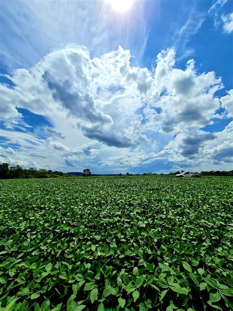 Jack Flash Jack Flash Added A New Photo