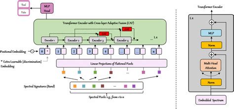 Discriminator Architecture Of The Proposed Hypervitgan For Hsi Download Scientific Diagram