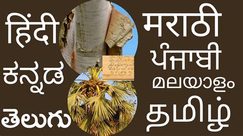 Interesting Story About Indian Languages Scripts Times Now Telugu Interesting Story About Indian Languages Scripts Times Now Telugu