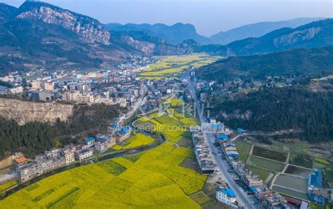 四川泸州画里乡村满地金 人民图片网