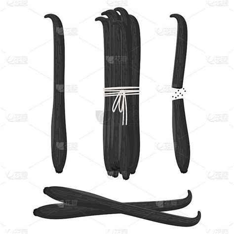 香草豆矢量卡通设置孤立的白色背景。