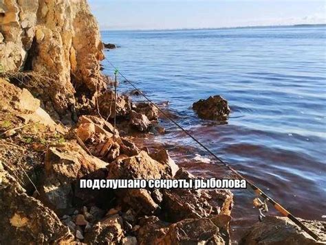 Сигнализатор поклевки для донной удочки механический - Советы ...