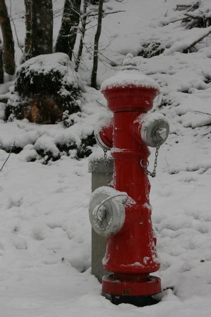 Premium Photo Close Up Of Fire Hydrant During Winter
