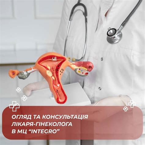 Консультація гінеколога в м Черкаси МЦ Integro — Медичний центр Integro в Черкасах