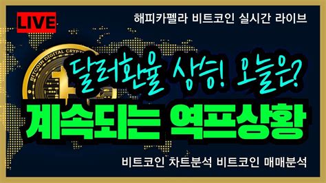 비트코인 실시간 비트 횡보상승은 언제 코스피코스닥 시총 비트 추월 79 점심💎비트코인 비트코인실시간 이더리움 리플 Cryptocurrency 차트분석