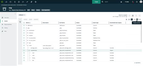 Collibra Data Dictionary Integration