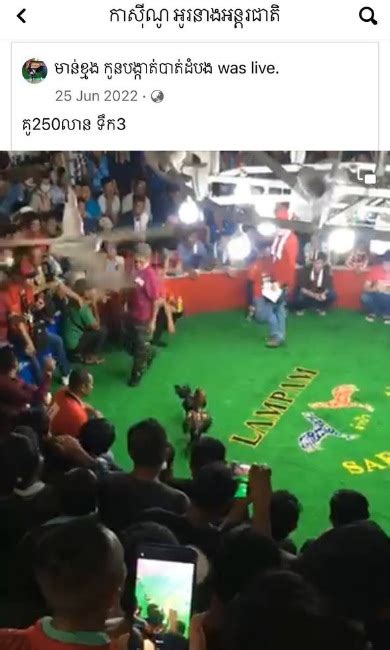 ស៊ីអ៊អ៊ិន ព័ត៌មាន Crnnews កាស៊ីណូ អូរនាងអន្តរជាតិ នៅបន្តបើកសង្វៀនបញ្ជល់មាន់លេងយ៉ាងរំភើយ