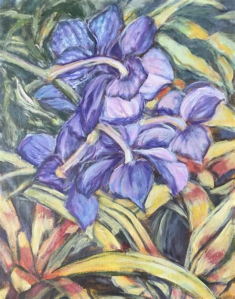 Orchids In Tropical Jungle Gallery Yuka