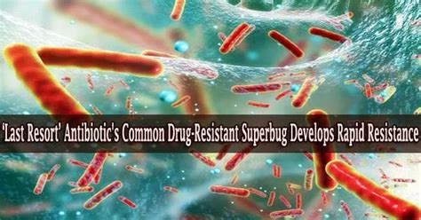 ‘last Resort Antibiotics Common Drug Resistant Superbug Develops