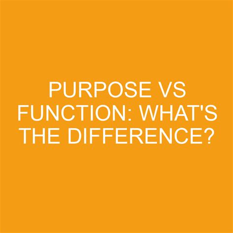 Purpose Vs Function Whats The Difference Differencess