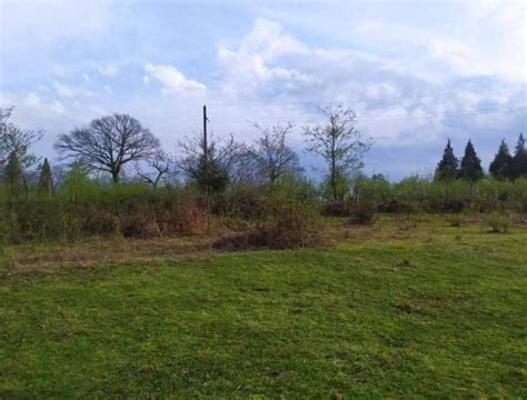 სოფელ მელექედურში იყიდება ერთსართულიანი საცხოვრებელი სახლი დ გურიის მოამბე