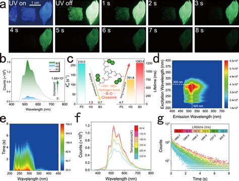 Stepwise Structural Confinement From P3 To H3 And To B3 A Download Scientific Diagram