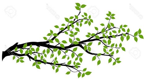 Tree Branch Silhouette Vector At GetDrawings Free Download
