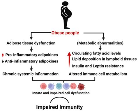 Encyclopedia Mdpi On Linkedin 📰 Obesity And Respiratory Infections 🔍 Obesity Has Become A Major…