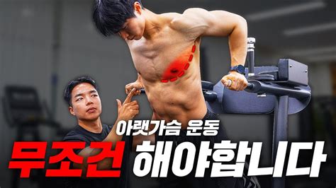 딥스 입체적 가슴의 완성은 아랫가슴 입니다 초보자를 위한 자세한 설명 YouTube