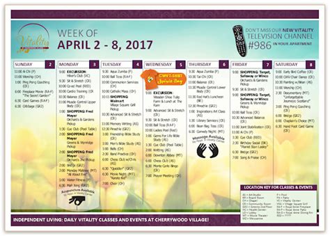Create Forms And Templates In Word Excel By Privani Fiverr