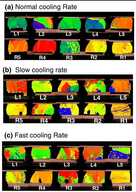 Cross Section Polarized Light Images And Corresponding C Axis Maps Download Scientific Diagram