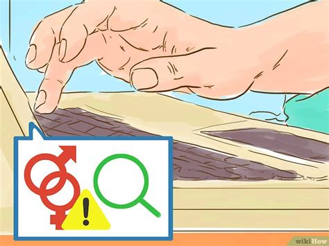 3 Formas de Descobrir se um Homem é Viciado em Sexo