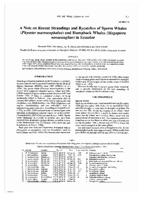 Pdf A Note On Recent Strandings And Bycatches Of Sperm Whales Physeter Macrocephalus And