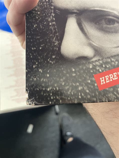 Bongos Bass And Bob ‎ Never Mind The Sex Pistols Lp Vinyl Rock Jazz