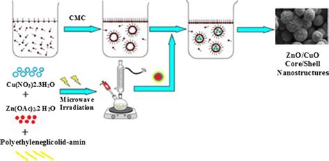 Of The Formation Zno Cuo Core Shell Pegylated Nanostructures Download Scientific Diagram