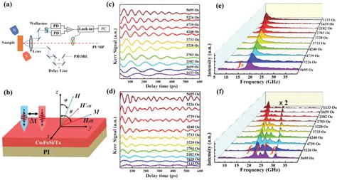 A Schematic Pump‐probe Trmoke Setup B Sample Geometry Cd Measured