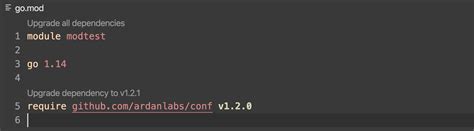 Modules Part 05 Gopls Improvements