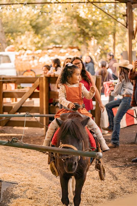 Gallery Live Oak Canyon Pumpkin Patch And Christmas Tree Farm Redlands Ca