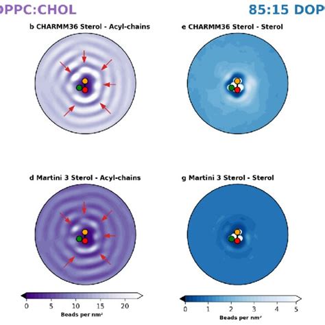 Spatial Distribution Of Cholesterol Neighbors In The Bilayer Plane