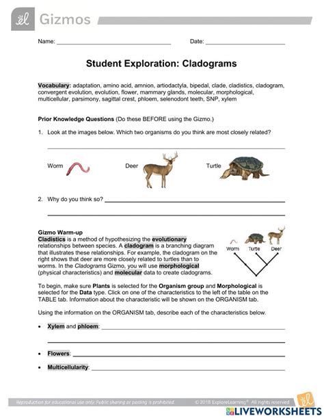 Cladogram Simulation Lab Gizmos Activity Worksheet Worksheets Library