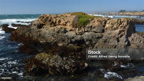 멘도시노 카운티 캘리포니아 미국에서에서 포트 브래그 유리 해변에서 노출 수 0명에 대한 스톡 사진 및 기타 이미지 0명 1번 도로 2017년 Istock