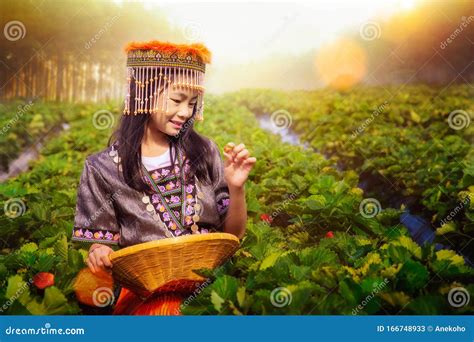 Garota Tailandesa Vestida Tradicionalmente De Chiang Mai Trabalhando Em