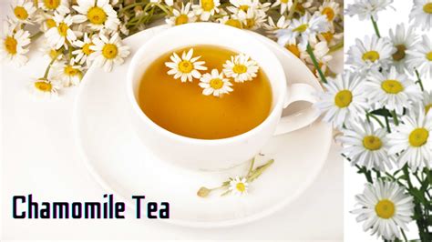 Top 10 Health Benefits Of Chamomile Tea You Need To Know