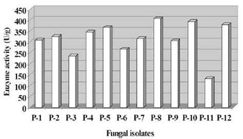 Pectinase Activity Of Different Fungal Isolates From Solid State